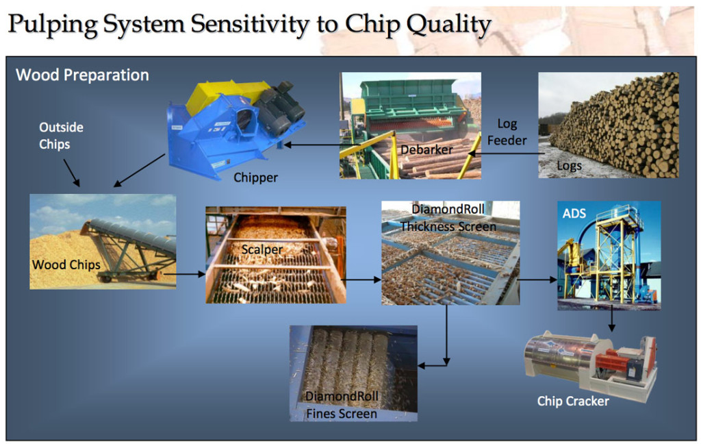 Pulping System Sensitivity to Chip Quality [Case Study]